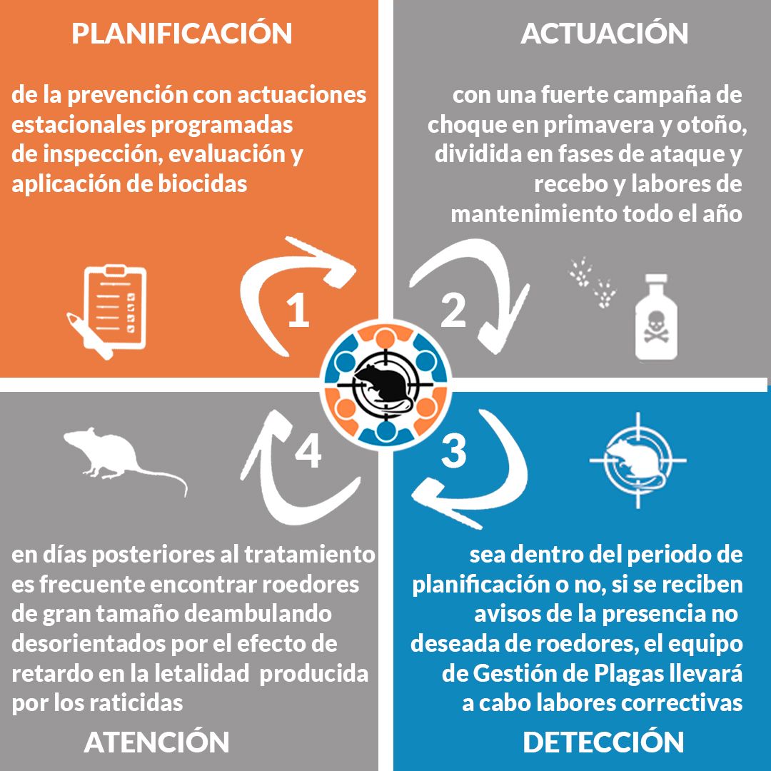 El Ayuntamiento desarrolla labores de gestión de plagas urbanas en el ...